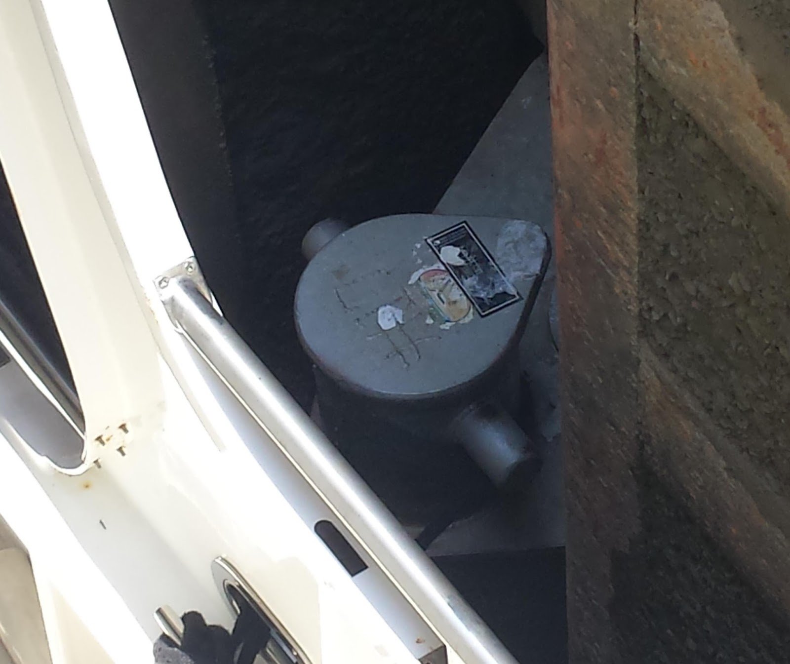 Our Odyssey: Demopolitan Mayfly Mayhem