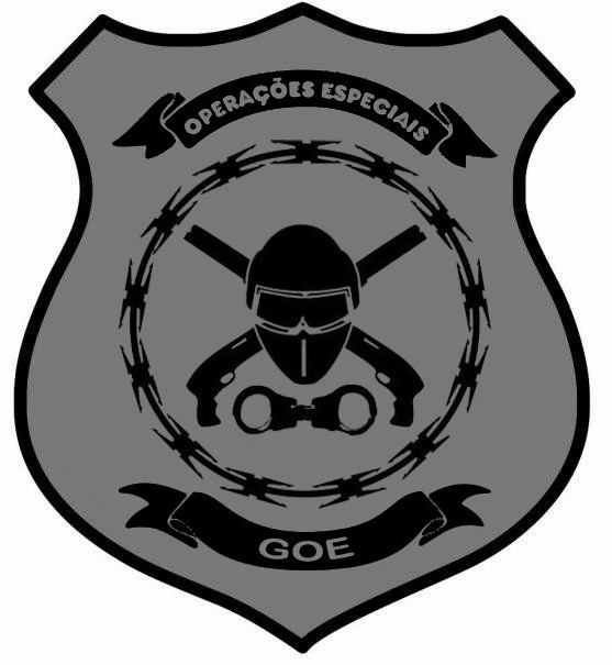 GOE cotem princípio de tumulto no presídio Raimundo Nonato ~ Guerreiros ...