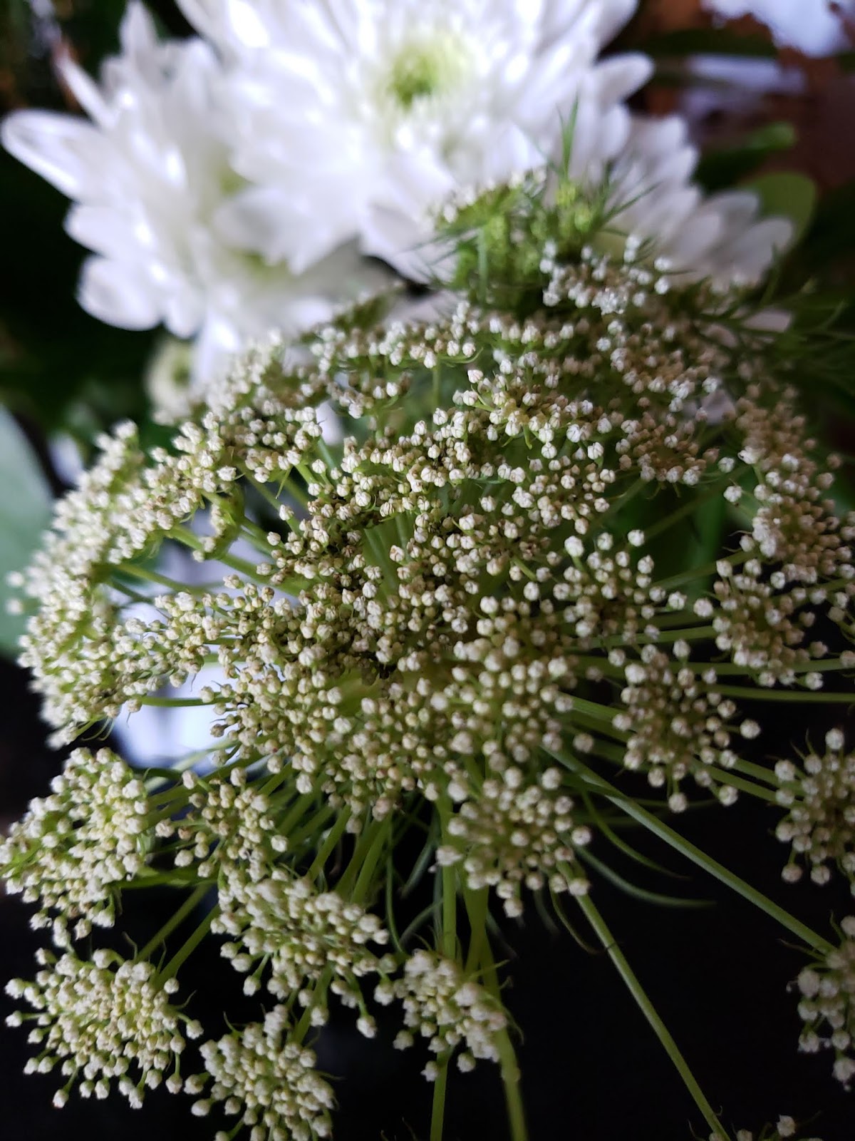 Tales from The Raspberry Rabbits: 2018