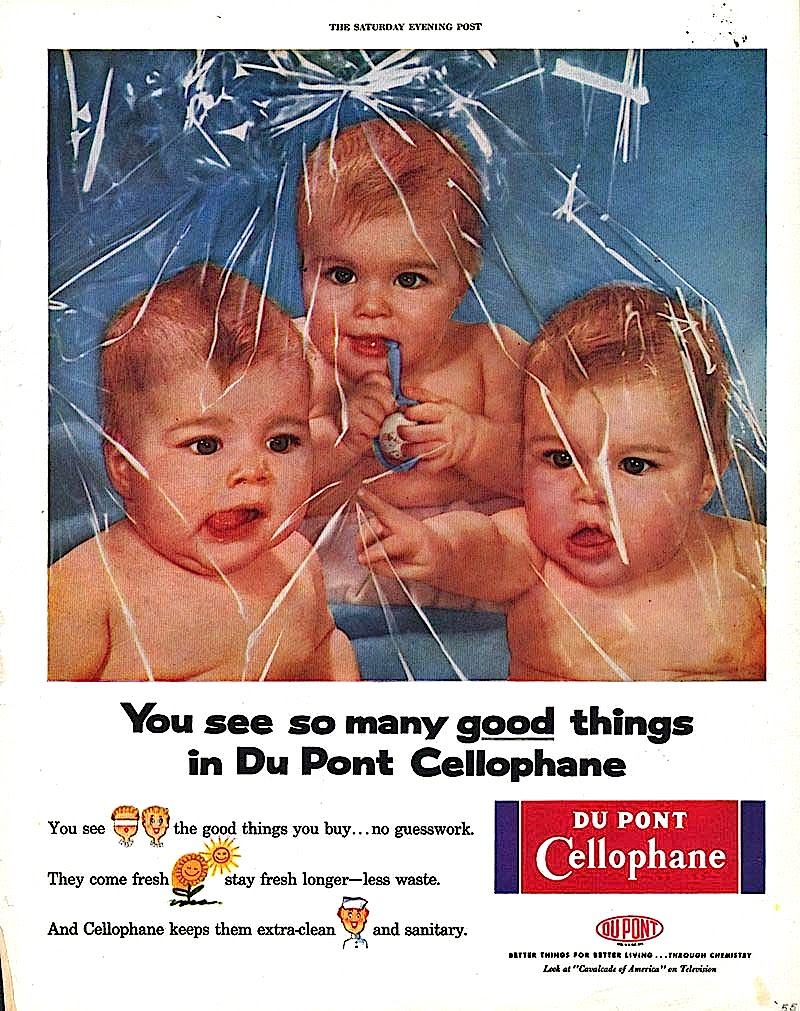 Montana Roué: 7th Day Surprise - Clearly odd