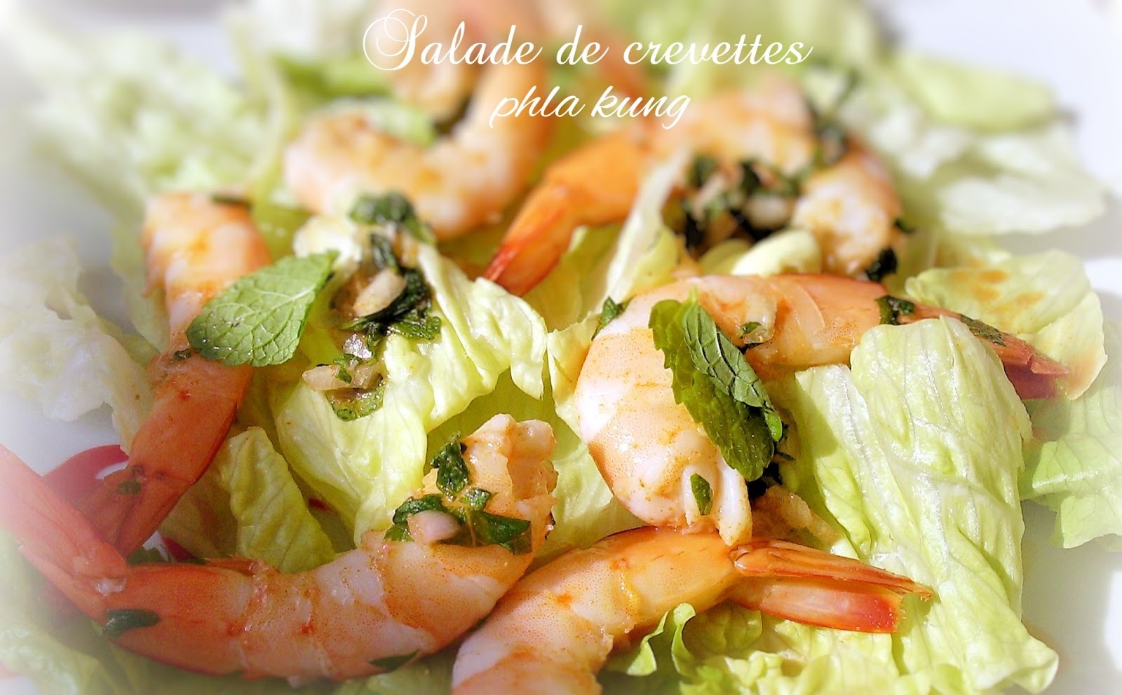 Salade De Crevettes Phla Kung Au Thermomix Thermomix Cie Hot Sex Picture