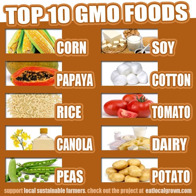 Minda Ke Tinta Dr.Rushdan Noor: GMF (GENETICALLY MODIFIED FOODS ...