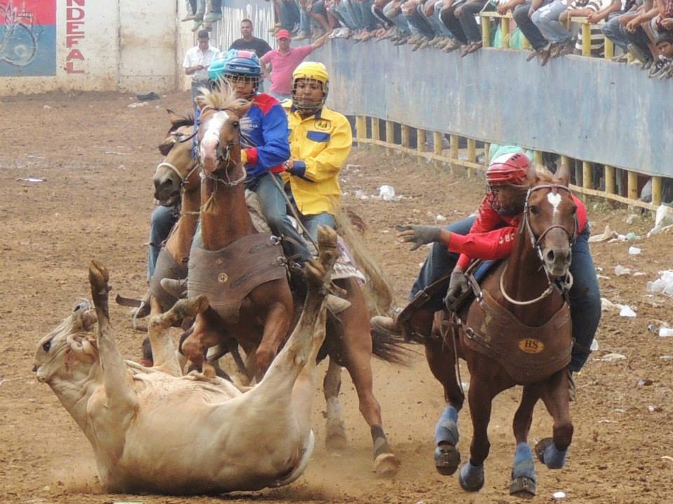 Parranda & Coleaderas