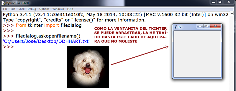 APRENDER A PROGRAMAR CON PYTHON: CREAR, ABRIR Y ESCRIBIR ARCHIVOS