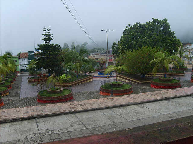 municipio de pauna
