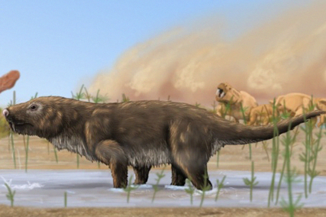 Reptossaurus: Cientistas descobrem nova espécie de ‘mamífero-réptil ...