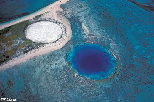 Atol Enewetak- Local de Testes Nucleares ~ O Mundo Variável