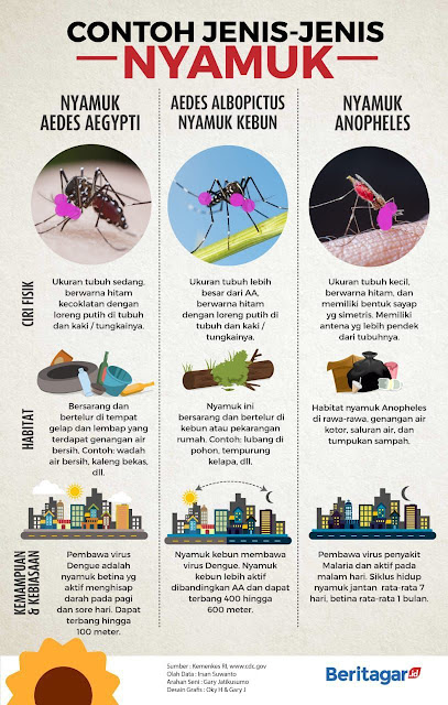Poster kesehatan Tentang DBD / Demam Berdarah - Agen87