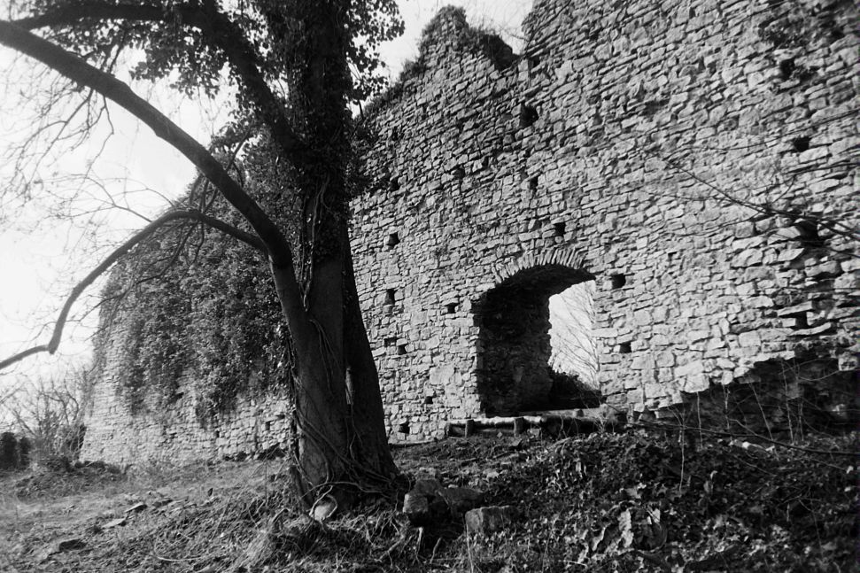 Cadoxton Court and Dovecote | Hidden Glamorgan