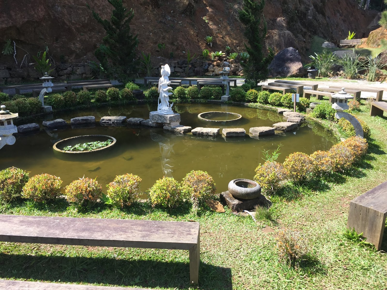 Vale do Amor - Petrópolis - RJ - Hibisco com Whey