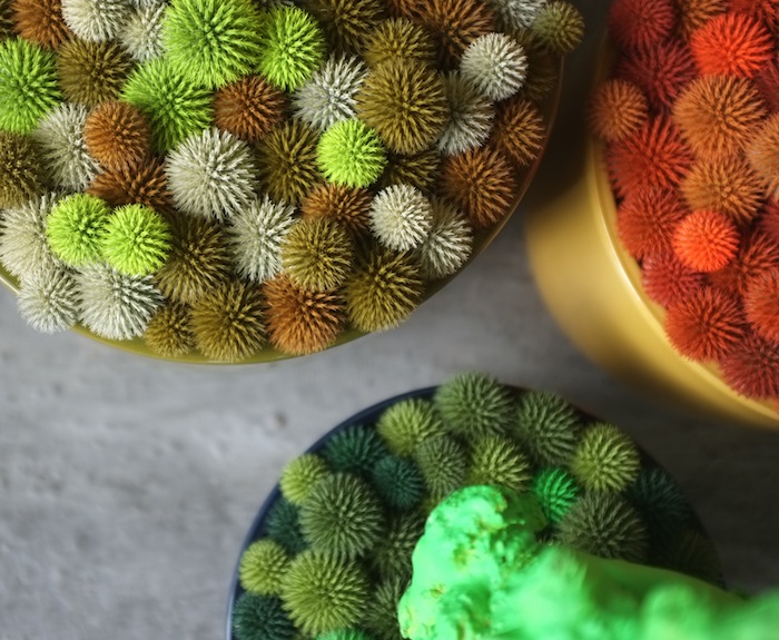 BORNAY: Spores (part III)