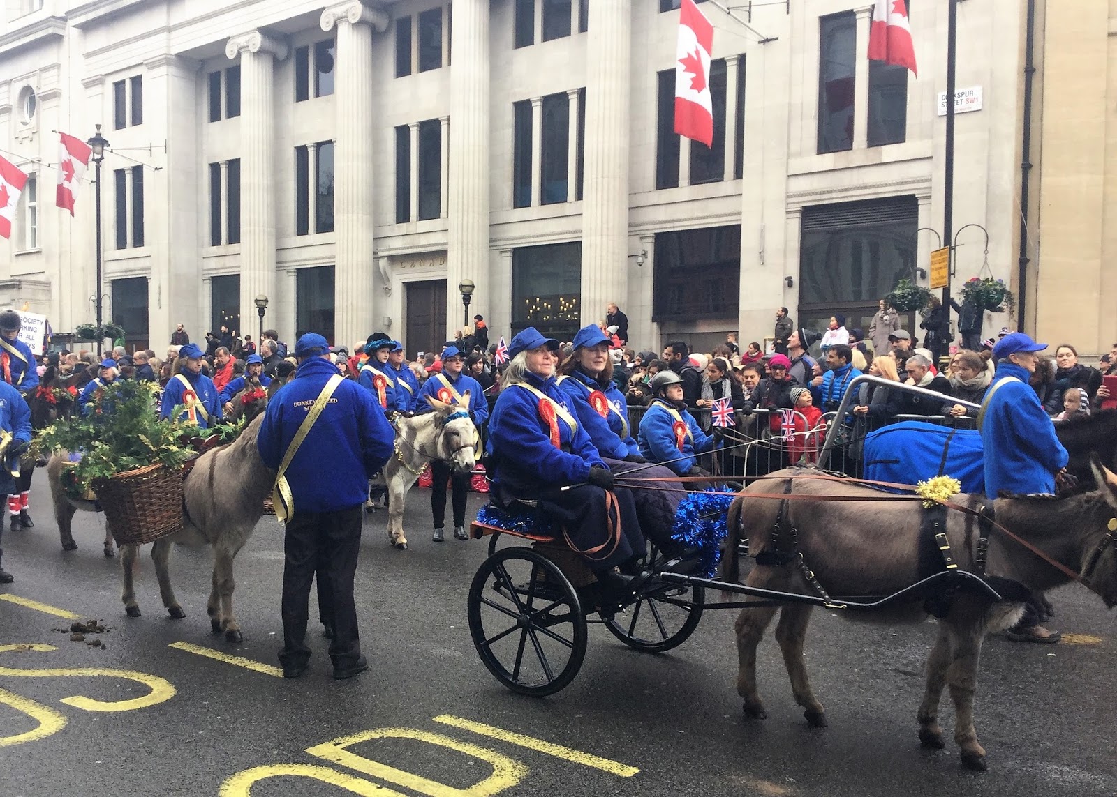 On the Bridge: New Year's Day Parade