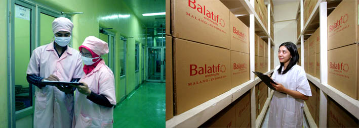 PT BALATIF ~ MEDIA PHARMA INDONESIA