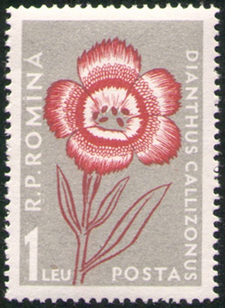 Timbre filatelice: Timbre filatelice cu flori din muntii Carpati