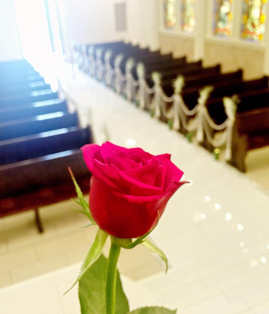 ACHIKOCHI: Wedding Chapel Rose