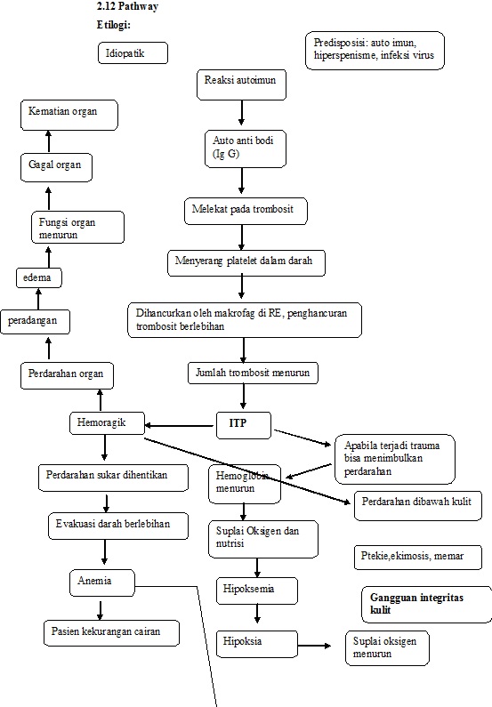 asuhan keperawatan Idiopatik trombositopenia purpura ~ Ilmu_Kep_Ns.Dwi ...