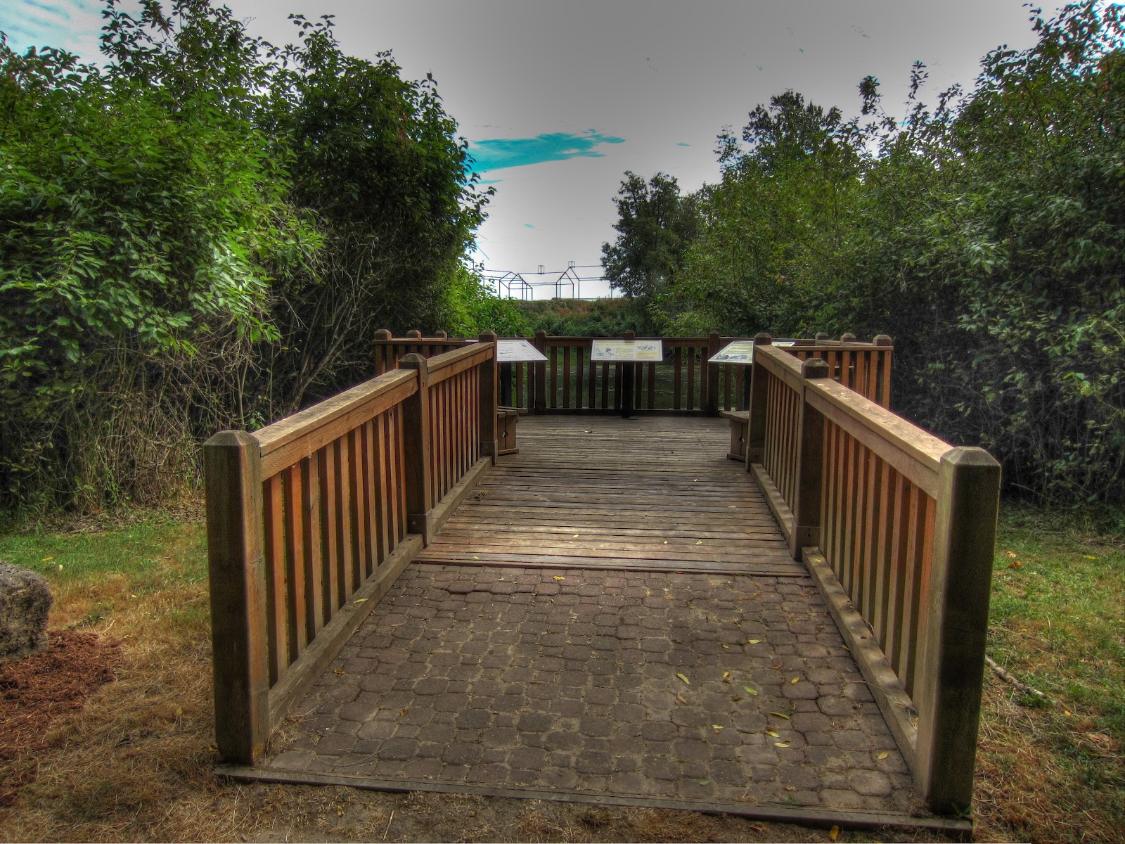 Thom Zehrfeld Photography : Willamette Mission State Park