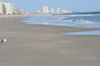 Some Day is Here: A walk on Crescent Beach/Atlantic Ocean