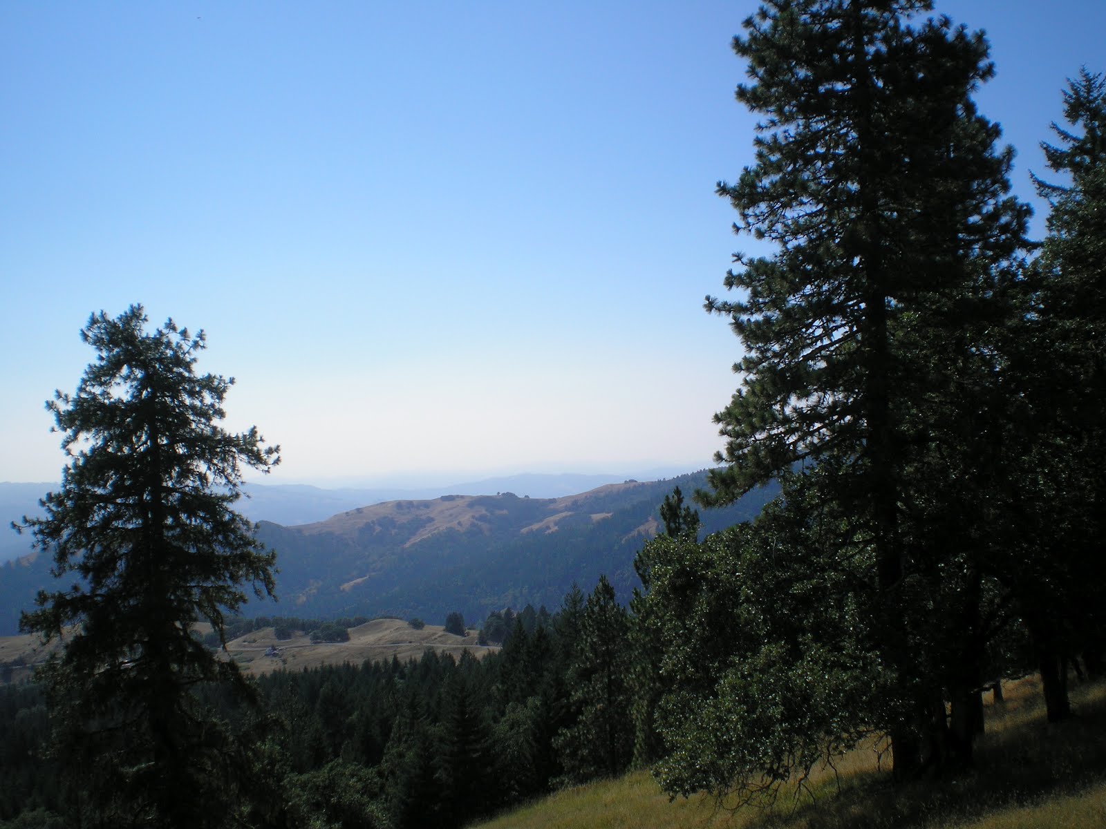 The Road Genealogist: Ruth Lake to Laytonville to Cleone, CA