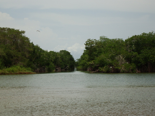 ¿En busca de un destino?: Parque Nacional Laguna de Tacarigua, Miranda