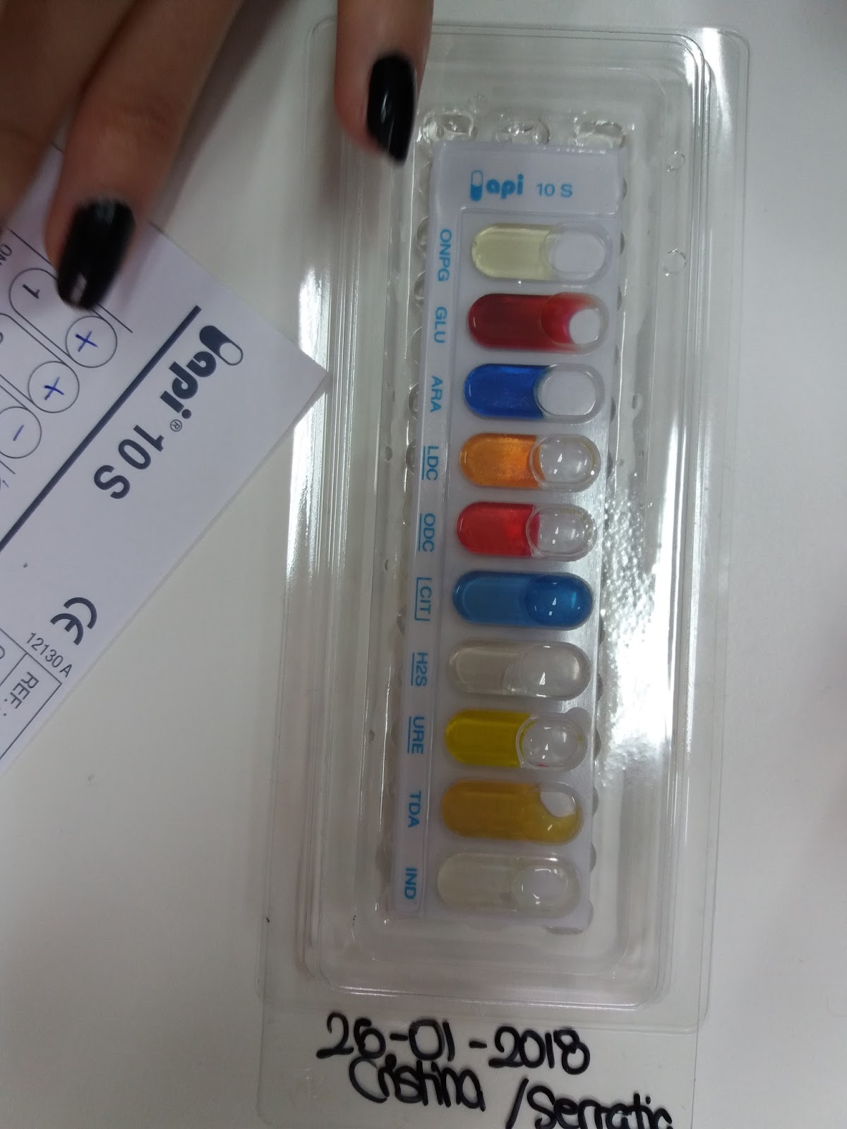 PRÁCTICA: API 20 E Y API 10 S (16/01/18)