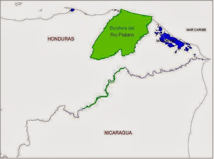 La cápsula de Ecodiversidad: Biodiversidad en la Moskitia