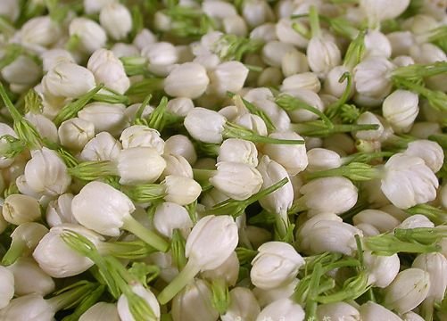 Buy Malli Poo Online Chennai | PooOnline.com - Buy Flowers and Maalai ...