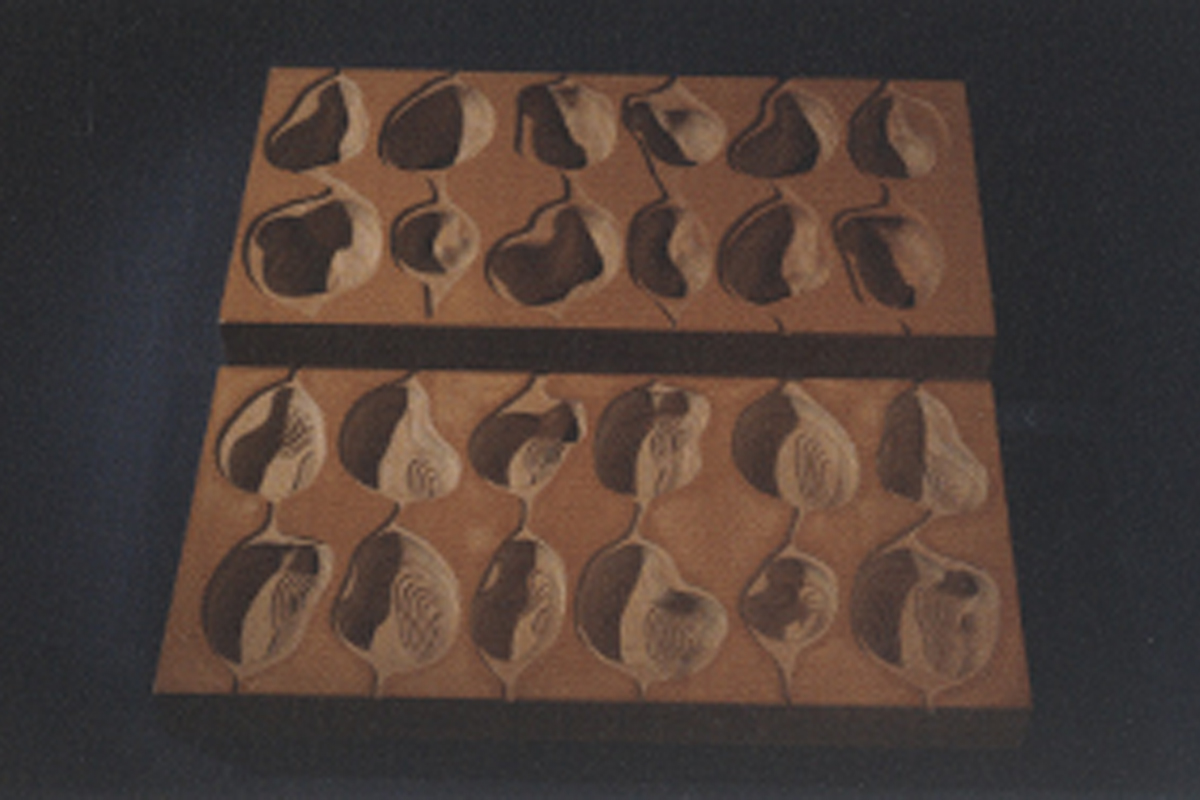 Future House(s):Genealogy: Embryological House