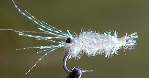 Louisiana Fly Fishing: Crystal Shrimp