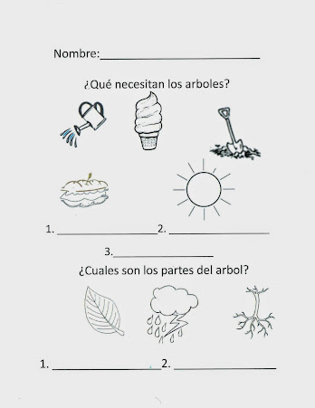 Spanish Simply: Parts of a Tree in Spanish