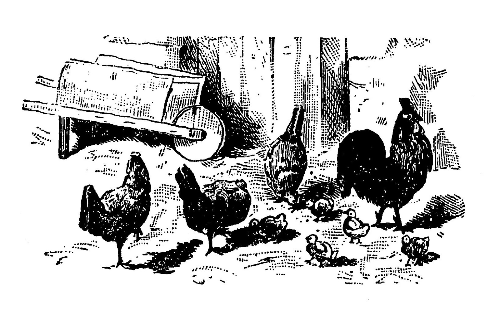 Digital Stamp Design: Stock Farm Animal Clip Art Digital Cow Chicken ...