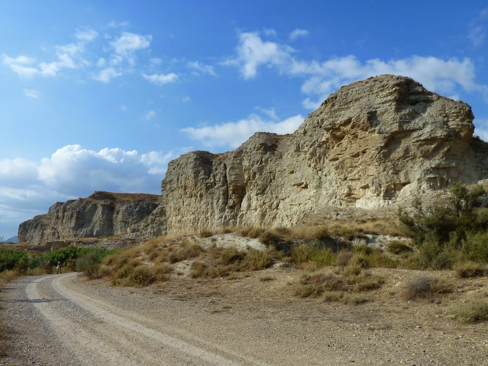 Diario de un Caminante: Circular a los Galachos de Juslibol y Alfocea