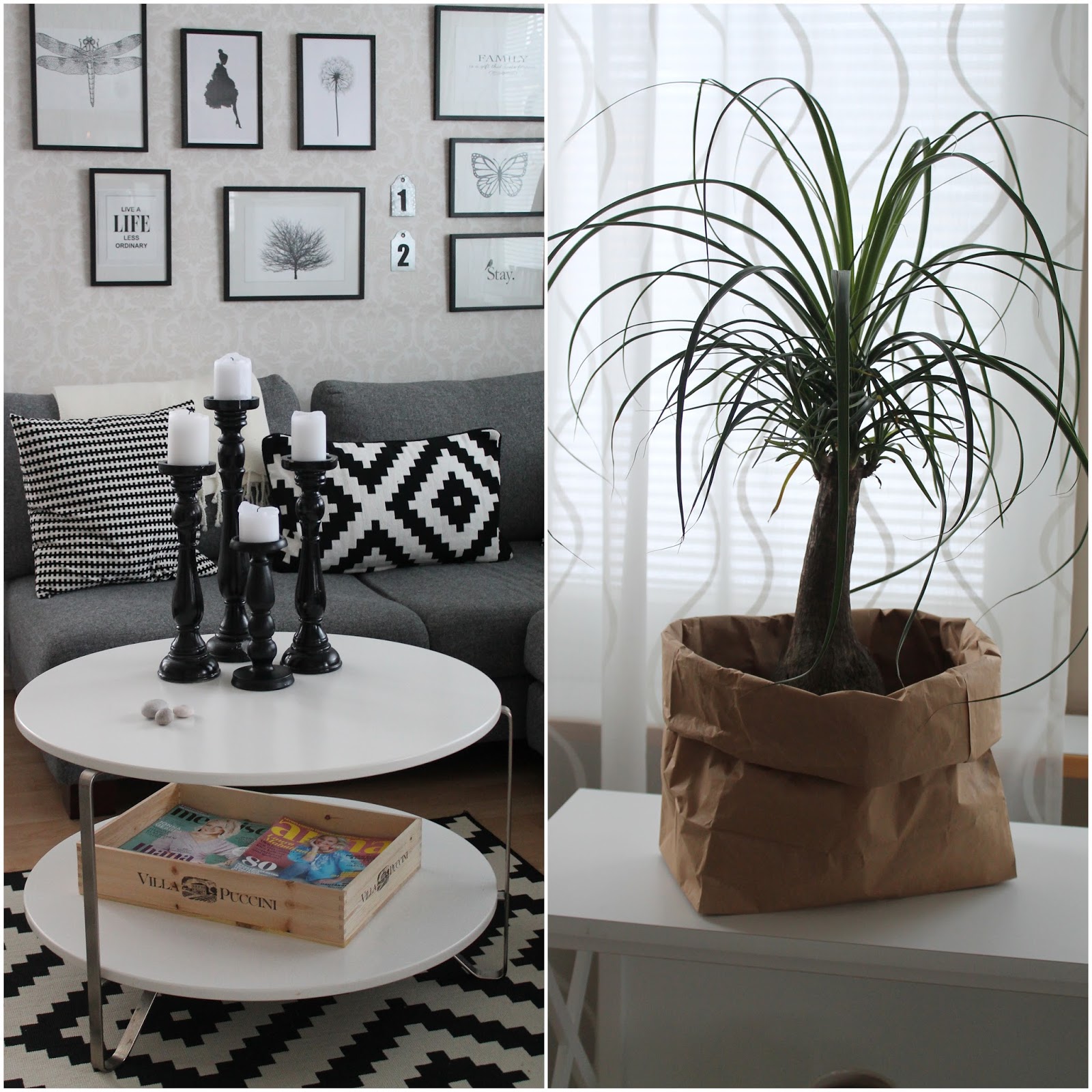 My sweet home: Pullojukka