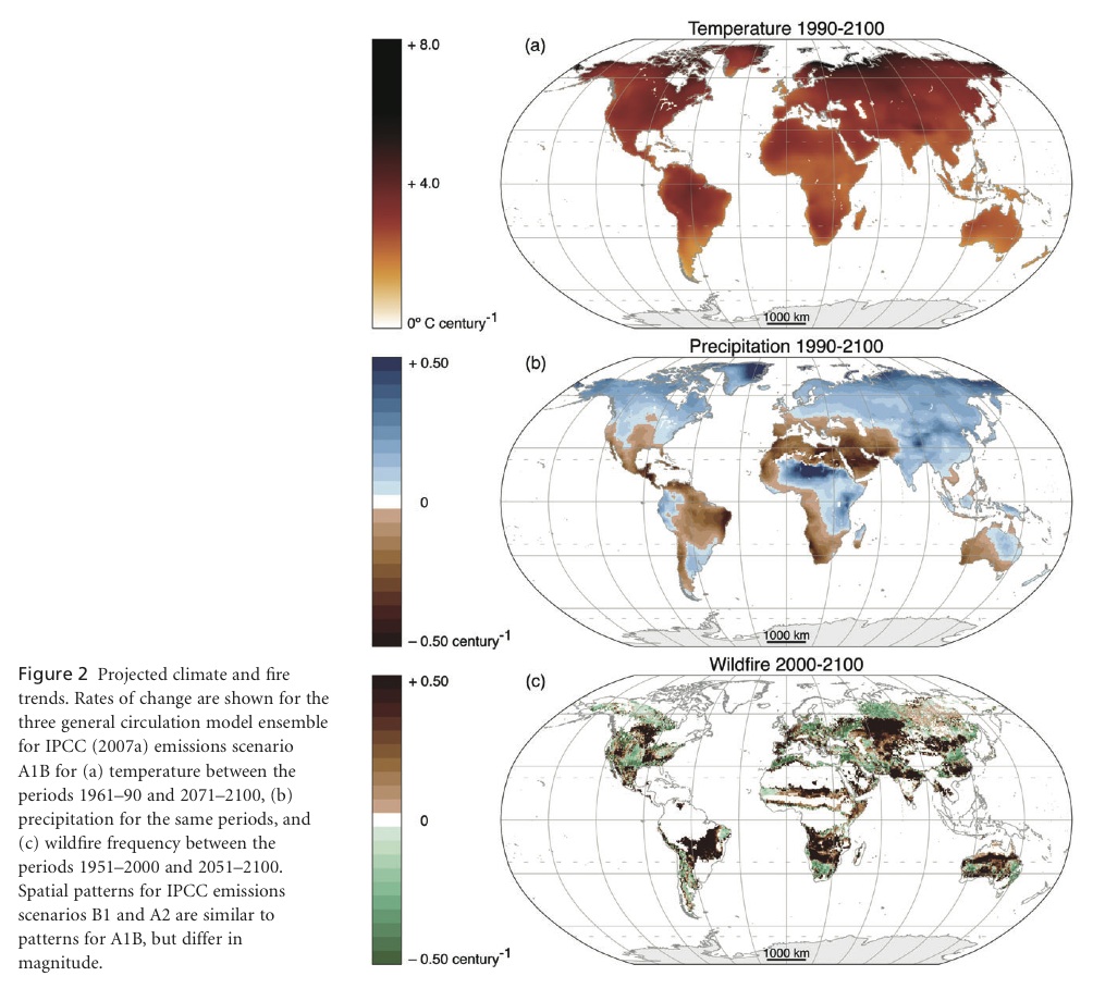 Too Hot to Handle?: Application of a Dynamic Global Vegetation Model