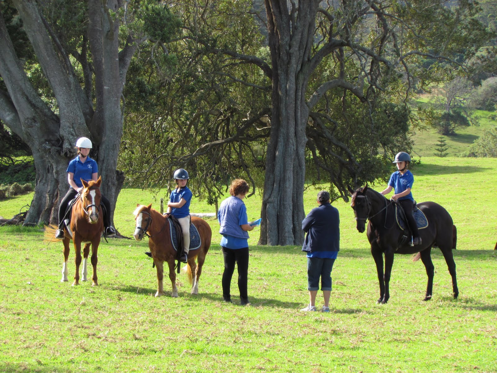 Norfolk Island Pony Club & Equestrian Association: Pony Club Rally Day ...