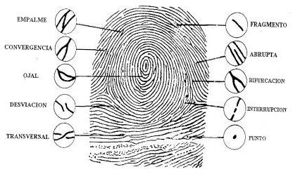 Juan Vucetich y su técnica de identificación