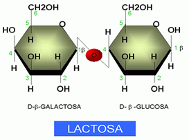 Nutricionados: Intolerancia a la Lactosa