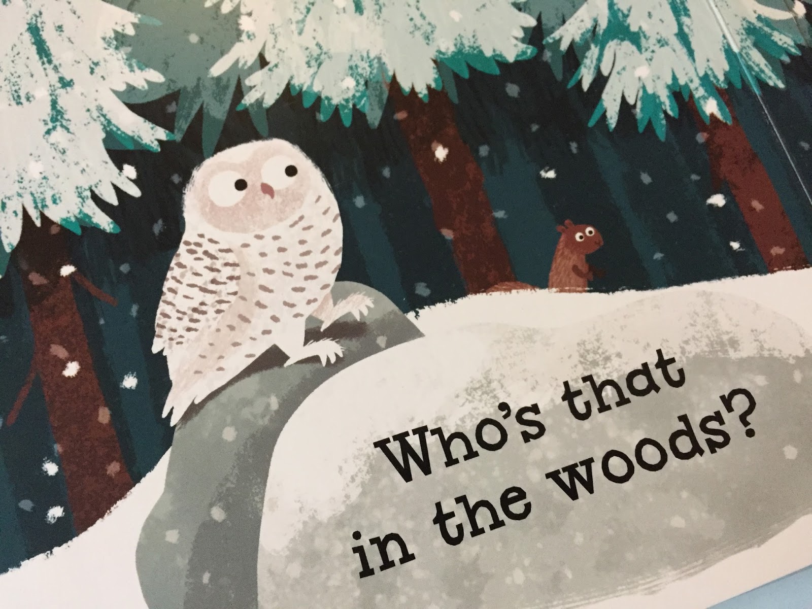 The Bookworm Baby: Can You Say It Too? Brrr! Brrr!