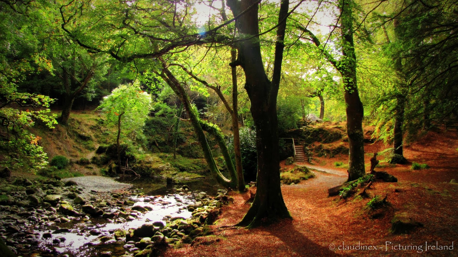 Picturing Ireland : Magical Places: The Hermitage at Tollymore Forest ...