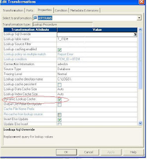 Dynamic and Static Cache in Informatica