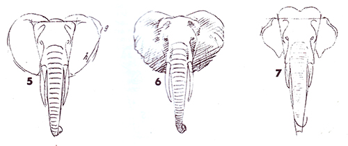 Belajar Melukis Lukisan Naturalisme: Belajar - Mudah - Gambar - Gajah