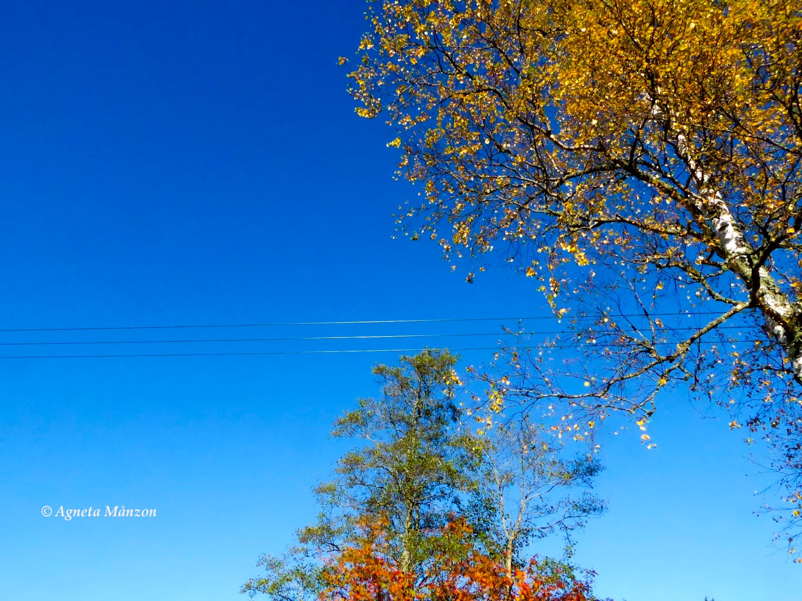 Bo på landet: Hänger i luften