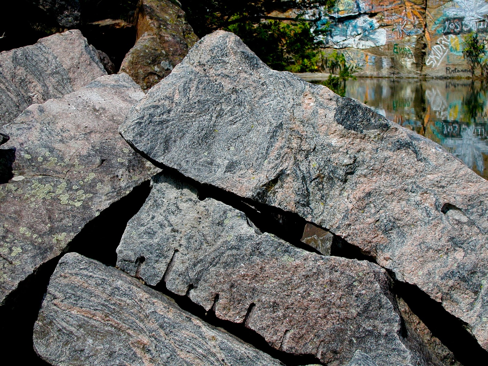 earthscienceguy: Minnesota Geology Monday - Morton Gneiss