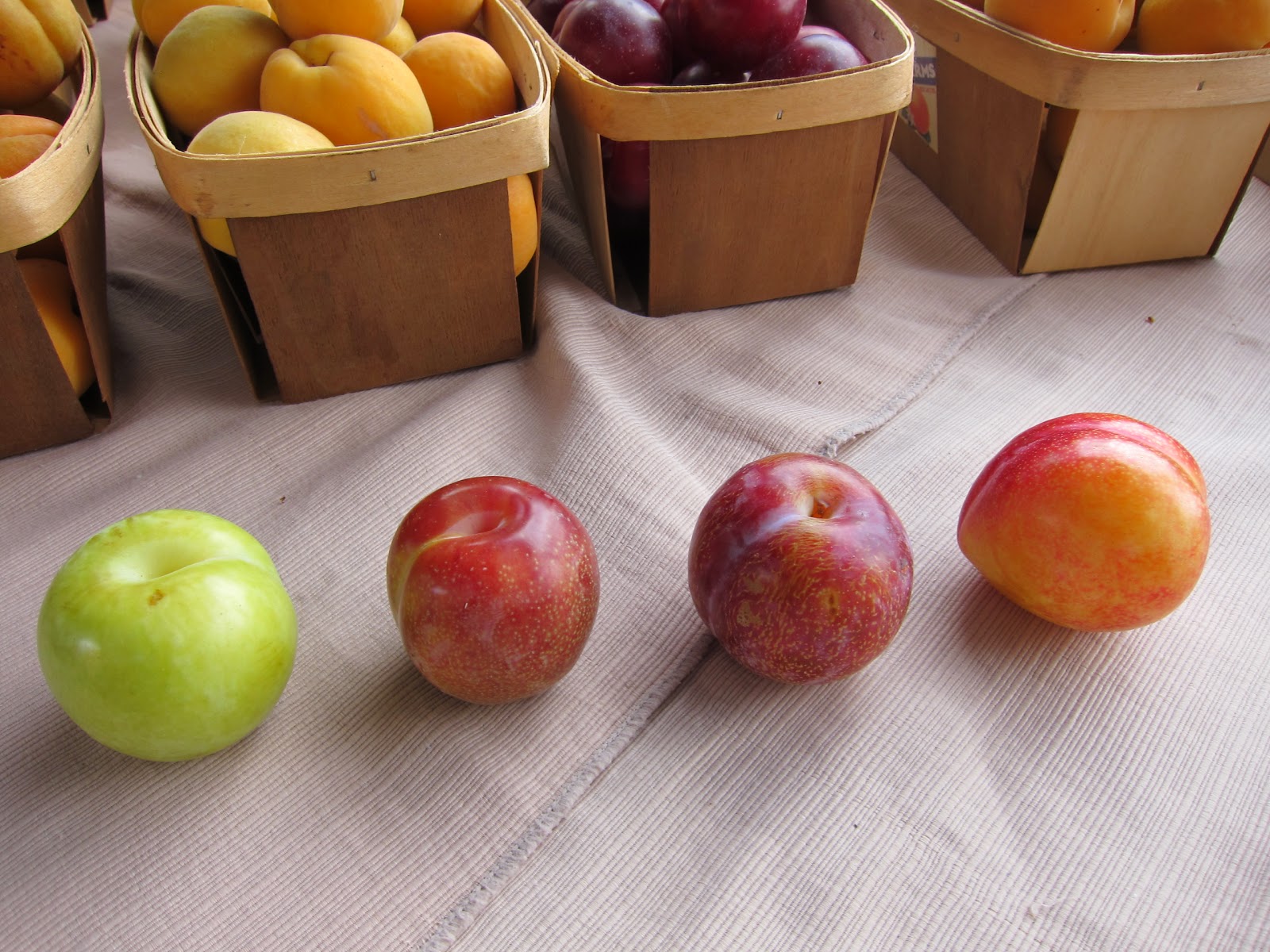 One More Bite Blog | Food | Travel | Adventures: 1MB Taste Test: Pluots