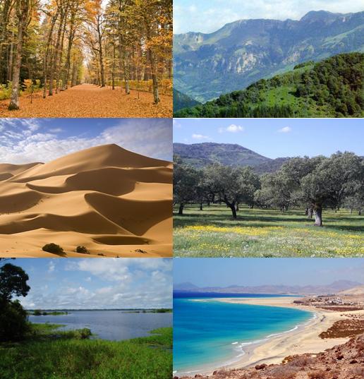 Second Grade: Socials