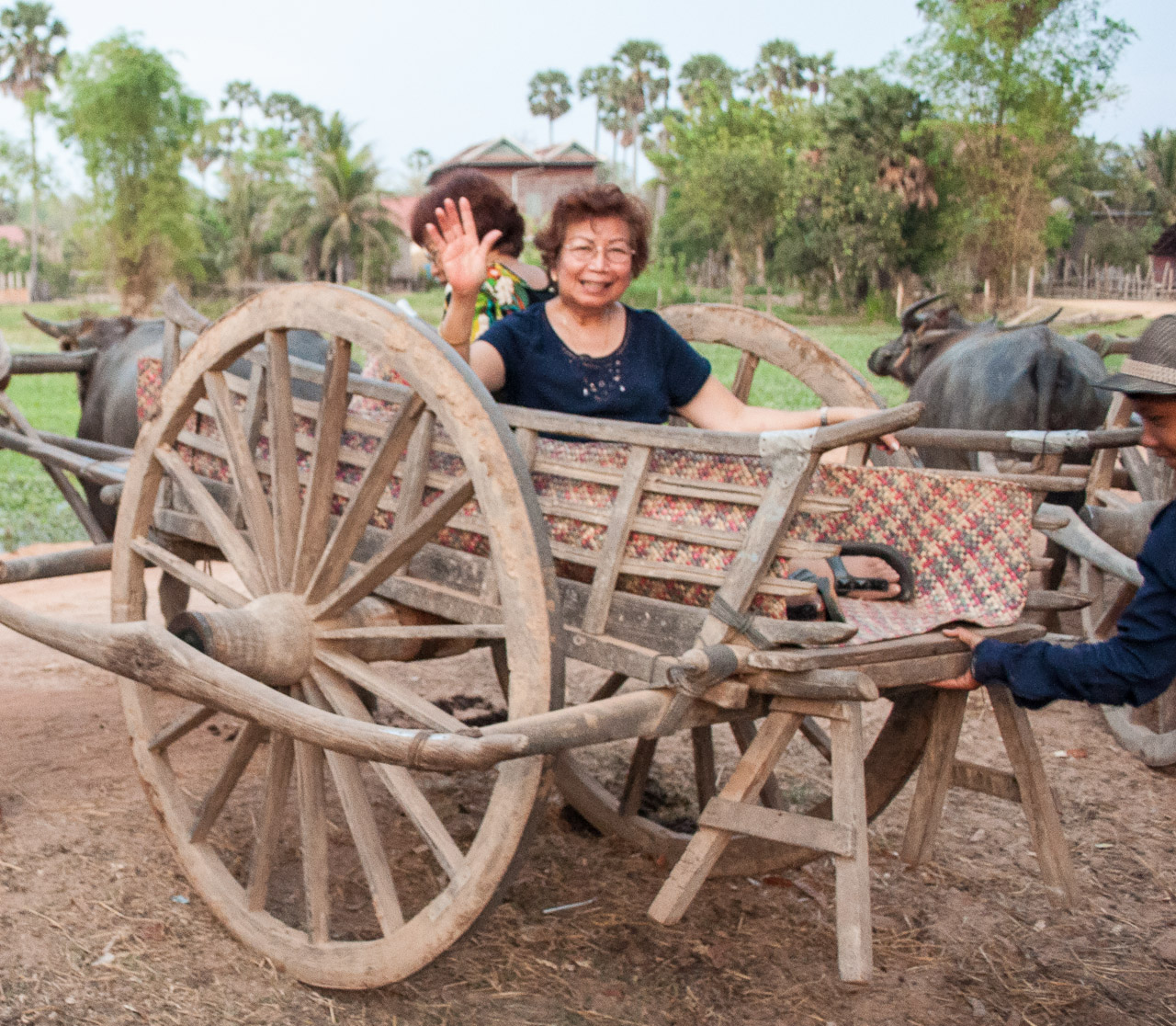 Moe and Irene's RTW blog: How to Ride on an Water Buffalo Cart