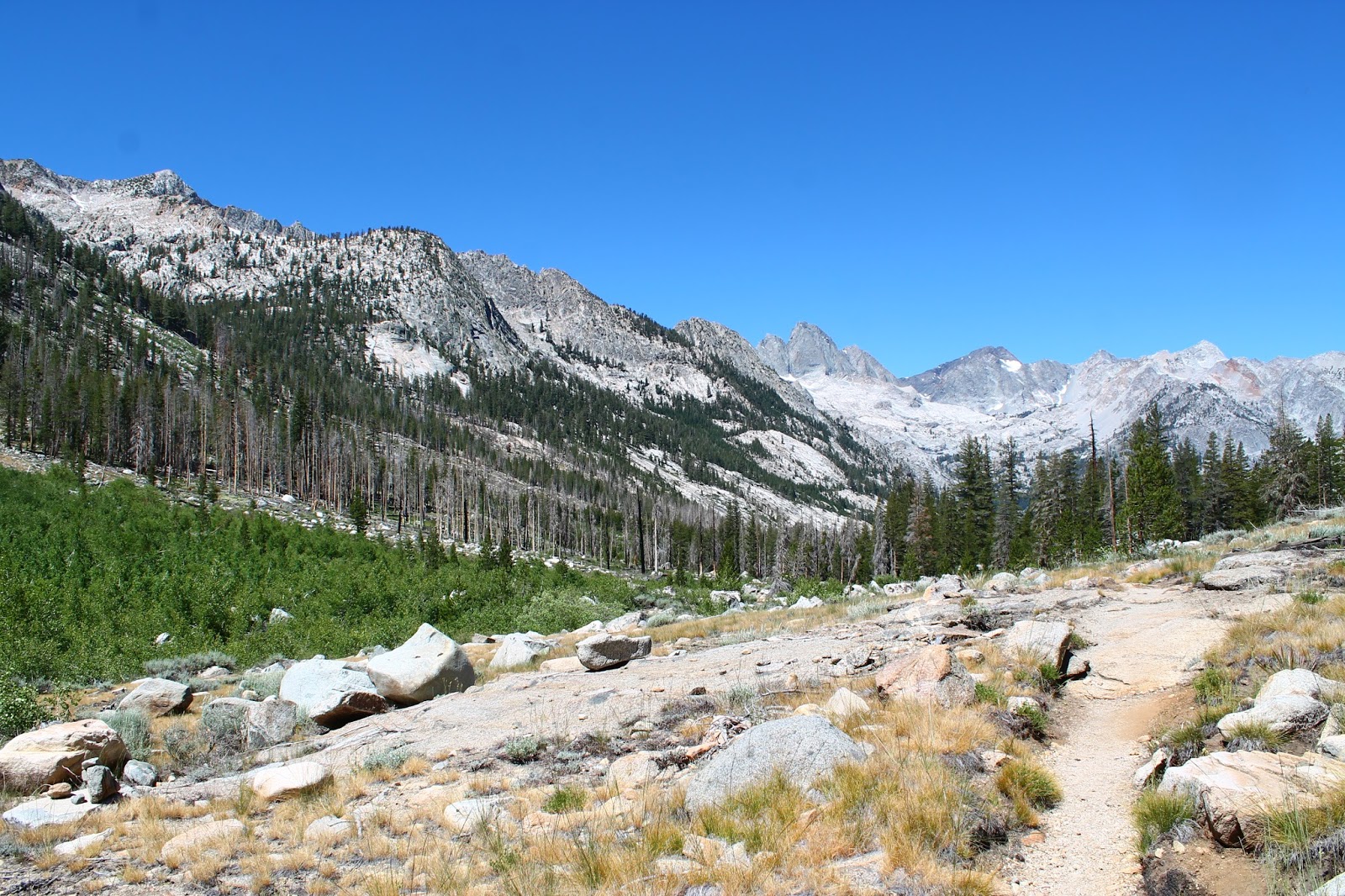 IN THESE WOODS: DAY 63: MUIR PASS
