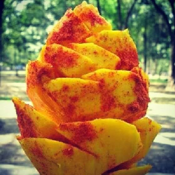 Mi vida en México - Mein Reisetagebuch: My Mexico experience - 101 I ...