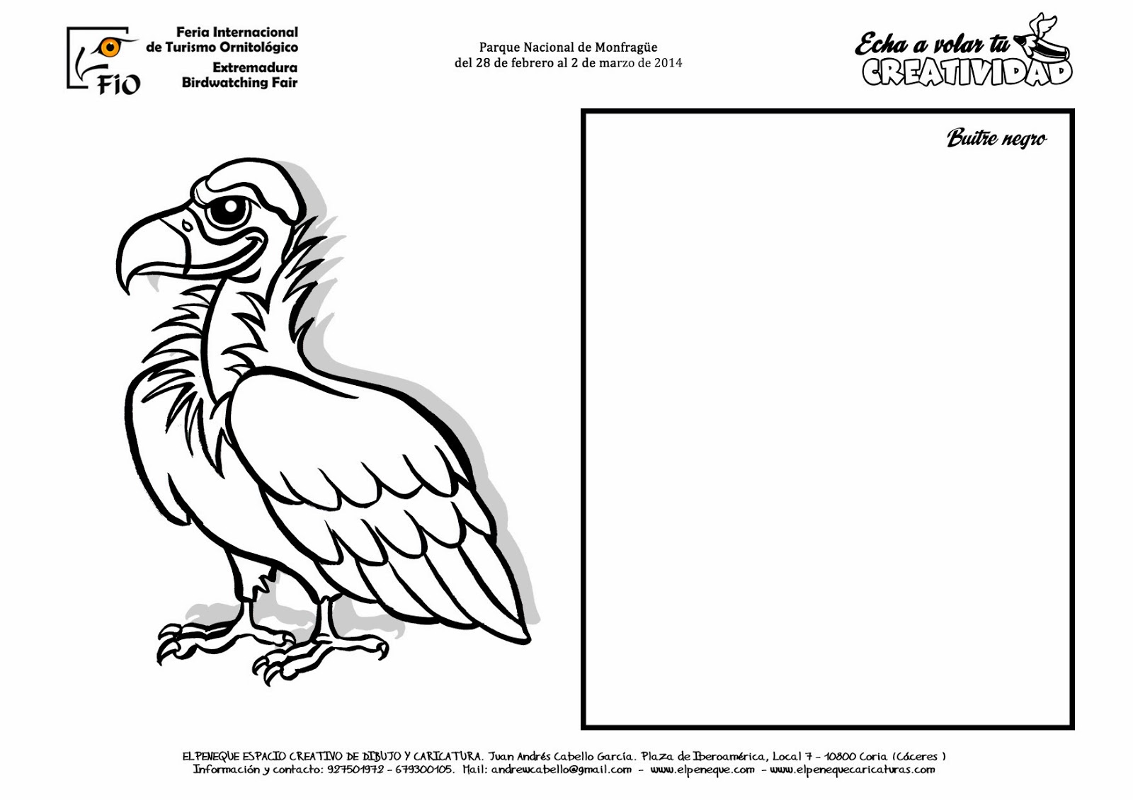 ELPENEQUE CARICATURAS: FICHAS DE AVES PARA DIBUJAR Y COLOREAR EN FIO