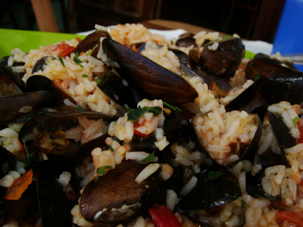 Fandango do Paraná: MARISCO LAMBE-LAMBE